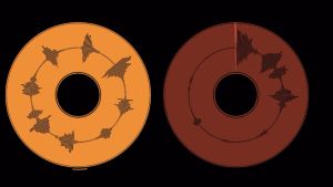 Phase Preservation - Loopy Pro Wiki